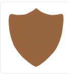 BLANK SHIELD - Bronze – Capital Badges